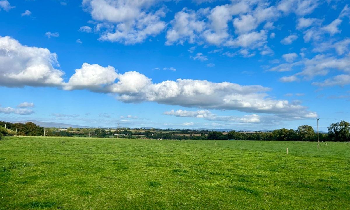 ACRES delays 'undermining' confidence in all schemes - ICSA - Agriland.ie