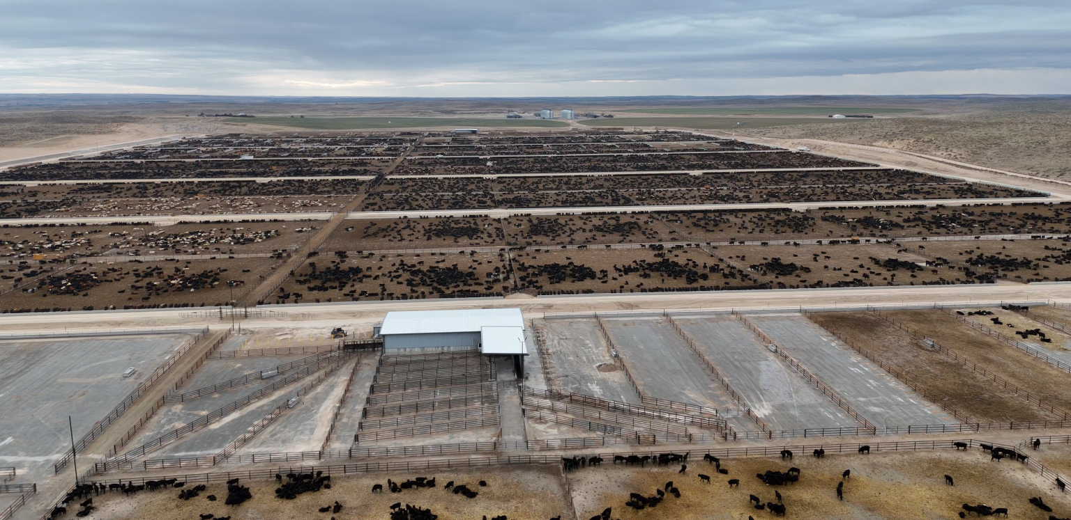 Building a brand-new 150,000 head beef feedlot in Nebraska - Agriland.ie