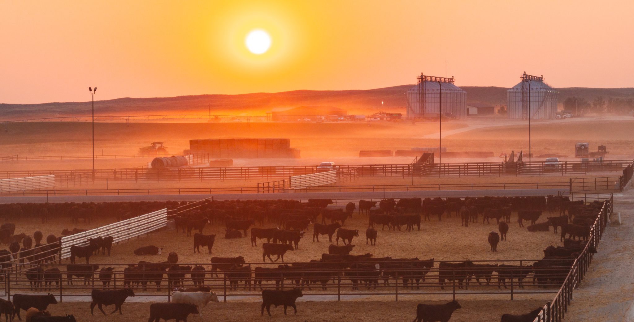 Building a brand-new 150,000 head beef feedlot in Nebraska - Agriland.ie