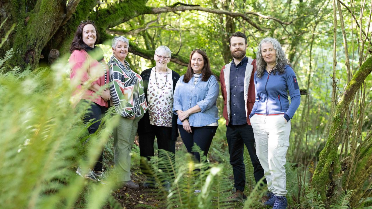 Clare forest to be 'anti-monument' to cervical check scandal - Agriland.ie