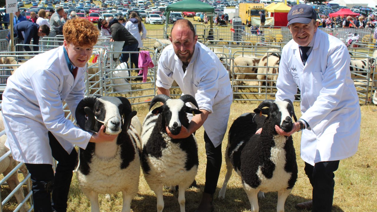 Armagh Show recorded largest visitor number ever last year - Agriland.ie