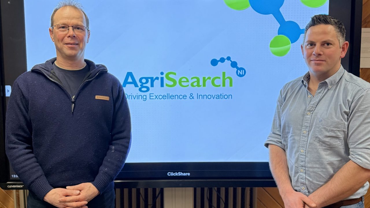 AgriSearch appoints new chair and vice chair for sheep committee ...