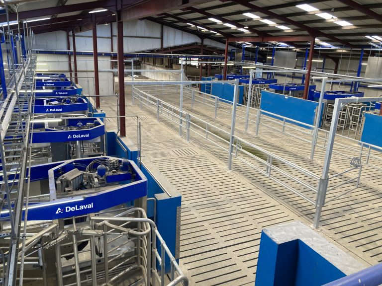 Everything you need to know about 'batch milking' - Agriland.ie