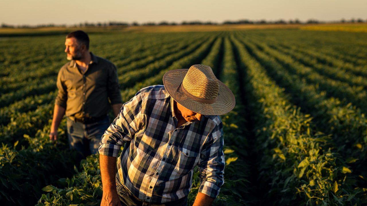 US National Ag Week marked with $10bn funding package for agricultural ...