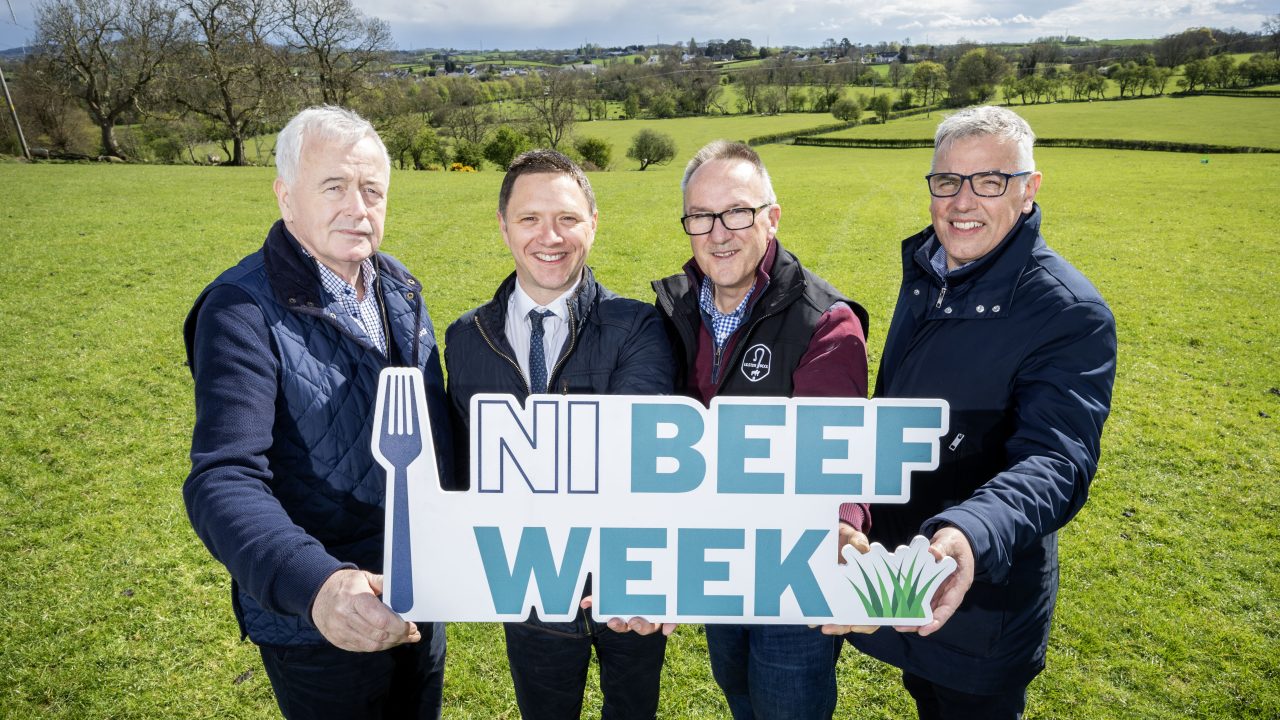 Beef Week 2025 to champion NI produce - Agriland.ie