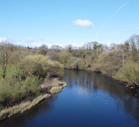 Blackwater Catchment Programme Stories - Agriland.ie