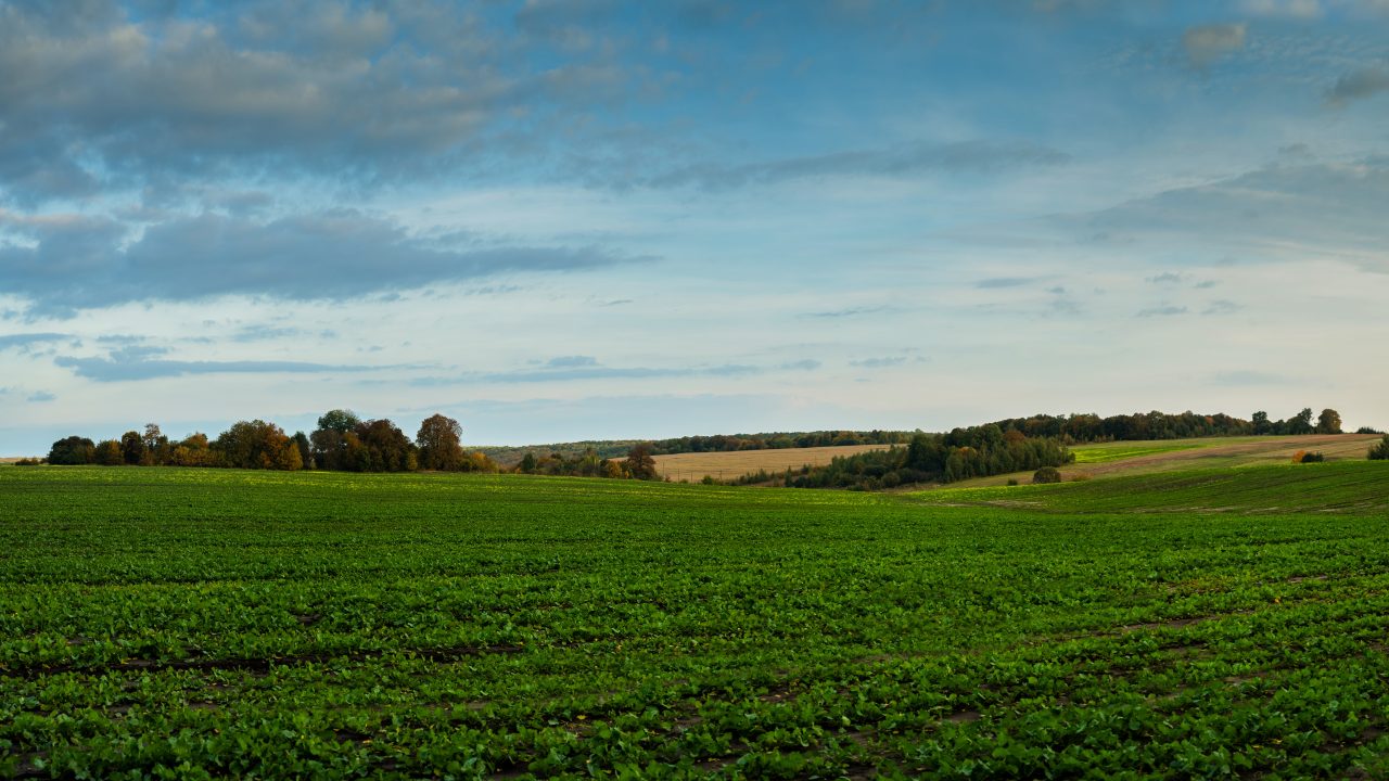 What will the Climate Action Plan 2025 mean for farmers? - Agriland.ie