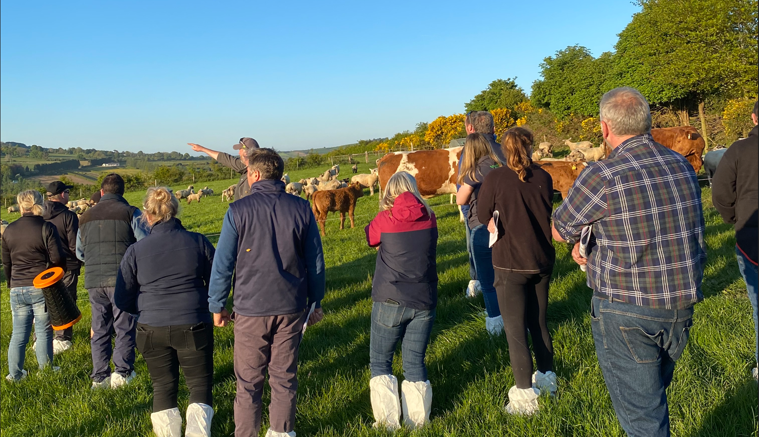 New Beef Farmer Networking Events Kick Off in South East | Agriland