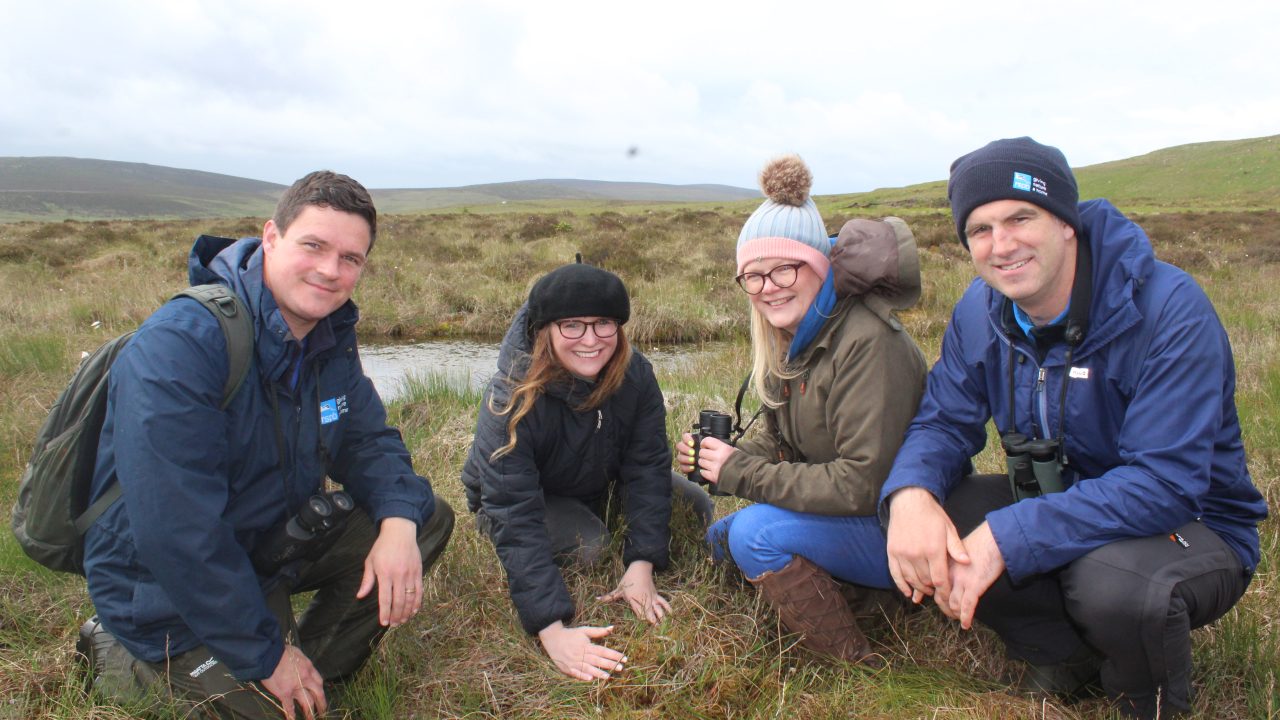 The importance of bog land restoration in NI highlighted - Agriland.ie