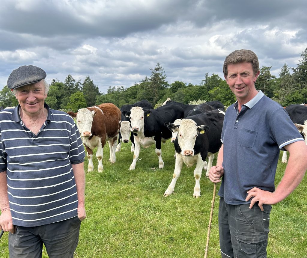 Six generations on the land: Meet Co. Clare dairy farmers, the ...