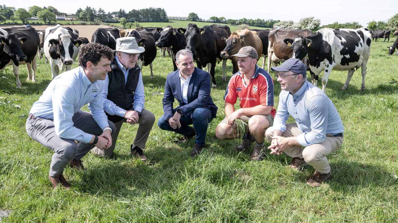 Watch: Share farming in practice on Gurteen Farm in Cork - Agriland.ie