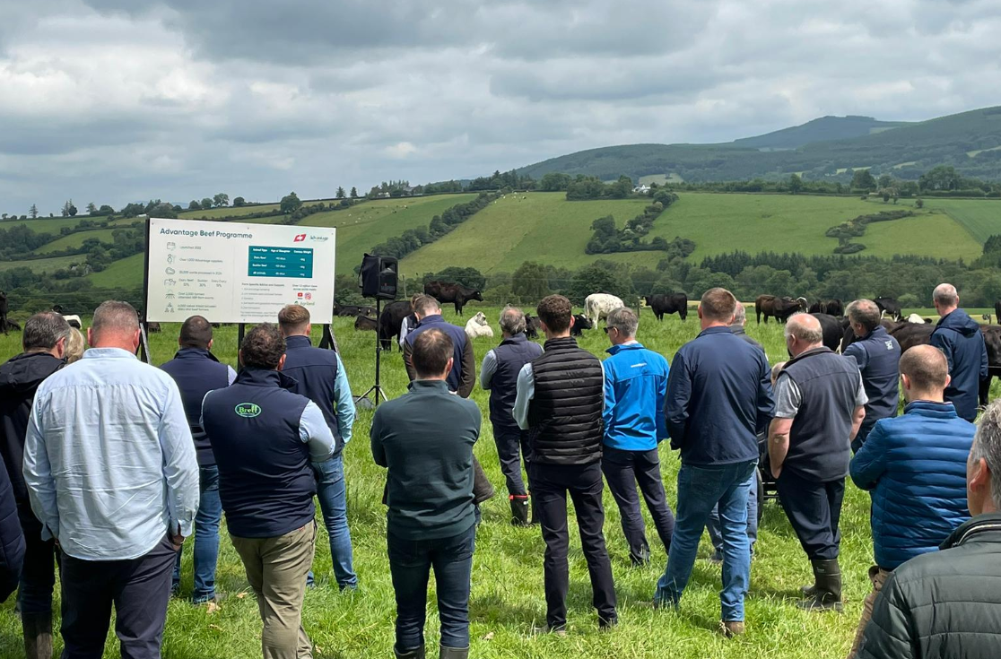 ABP Demo Farm reports 32% lower emissions while producing 'heavier ...