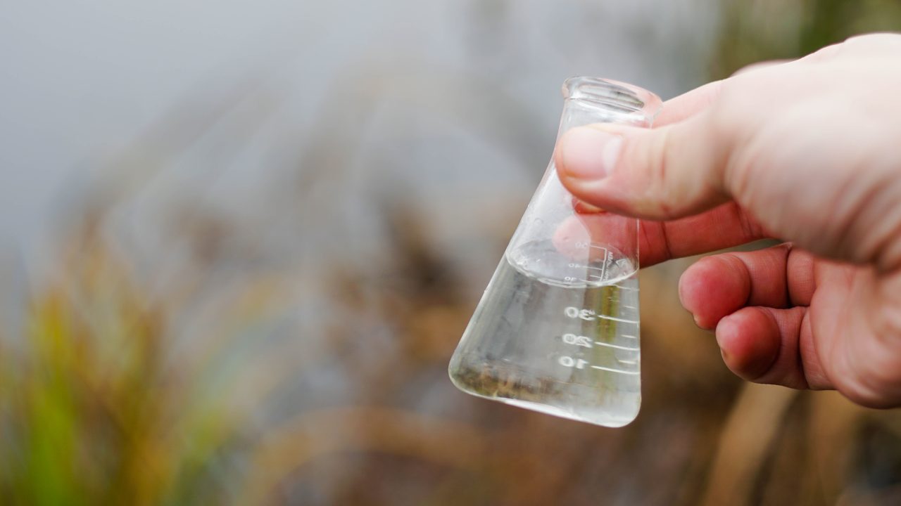 Wildlife Trust calls for prosecution after agricultural river pollution ...