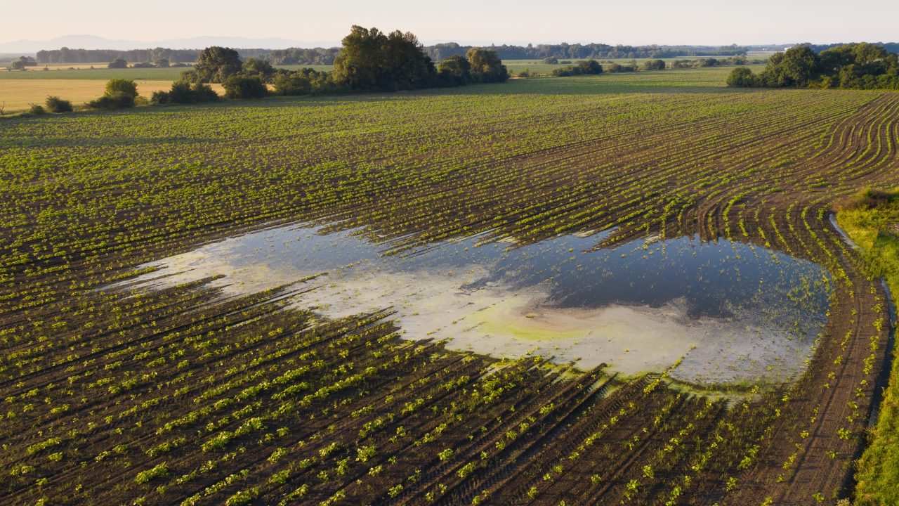 Report: Risk to crop yields as Ireland projected to get warmer and ...