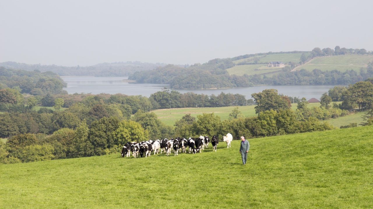 Cavan farm walk to discuss cashflow and succession - Agriland.ie