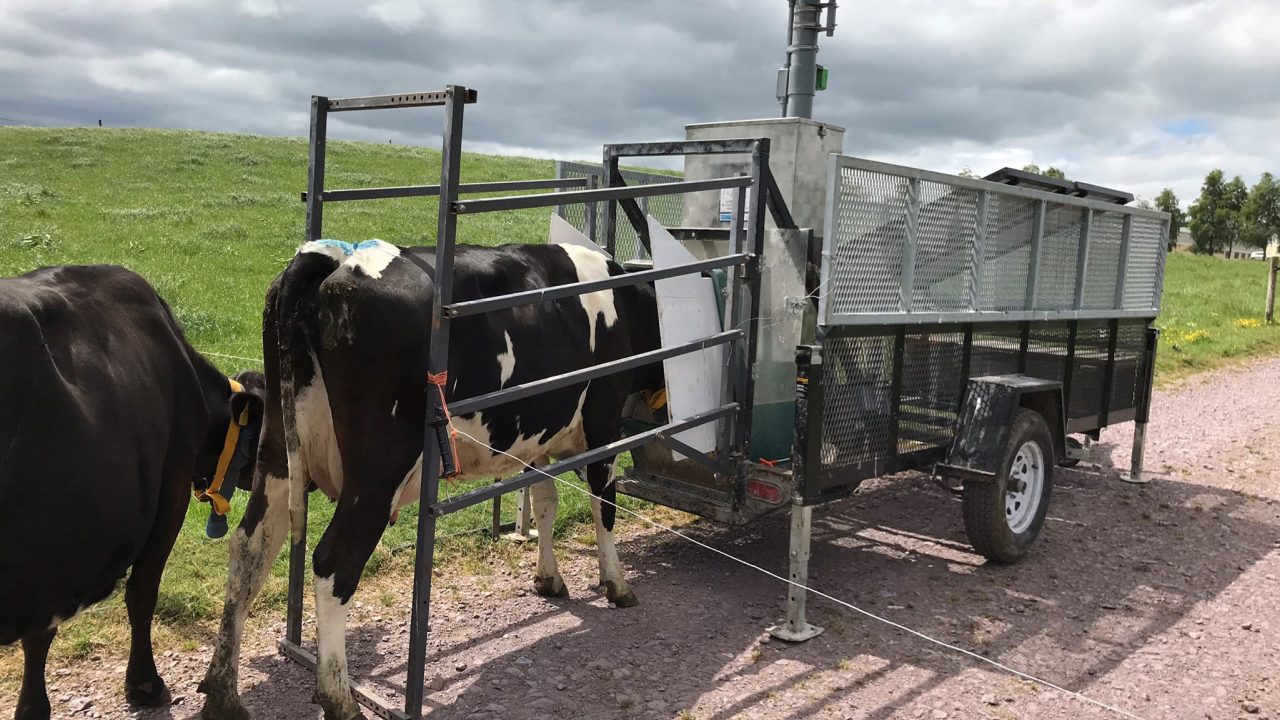 How will enteric methane emissions be reduced? - Agriland.ie