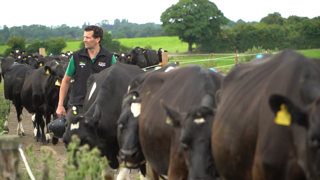 How genotyping is boosting profitability for Co. Tipperary dairy farmer ...