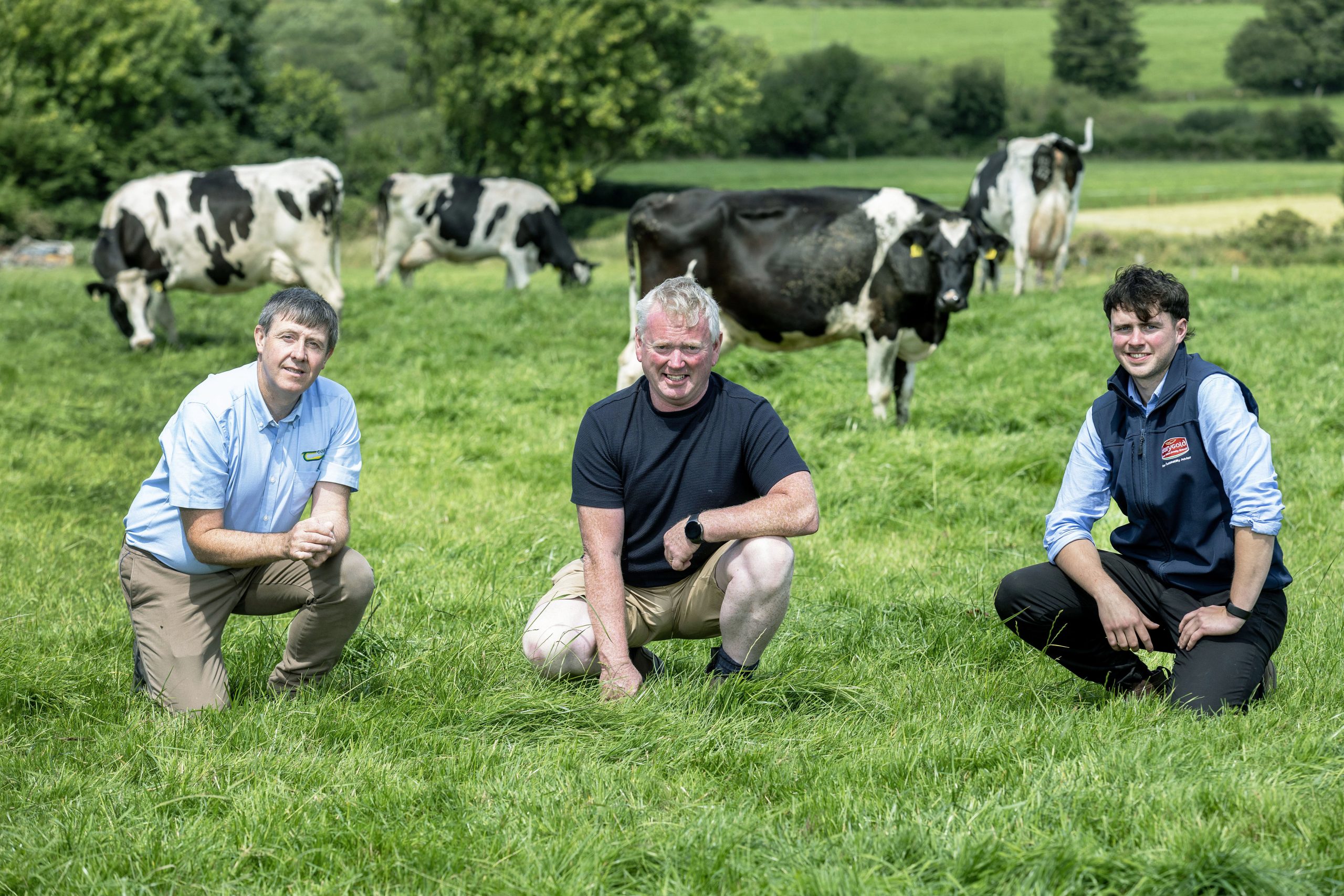 Find out about a Co. Cork farmer's winning approach with Dairygold and ...