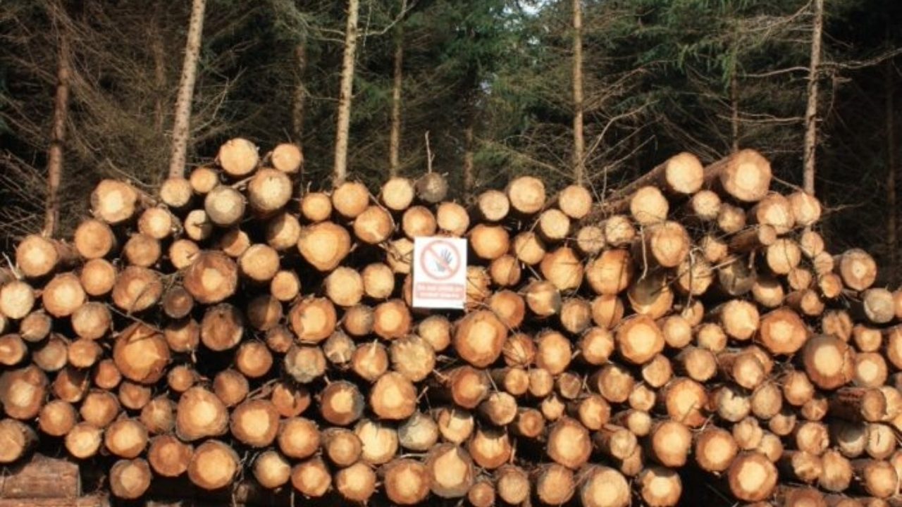 How should harvested timber stacks be estimated? - Agriland.ie