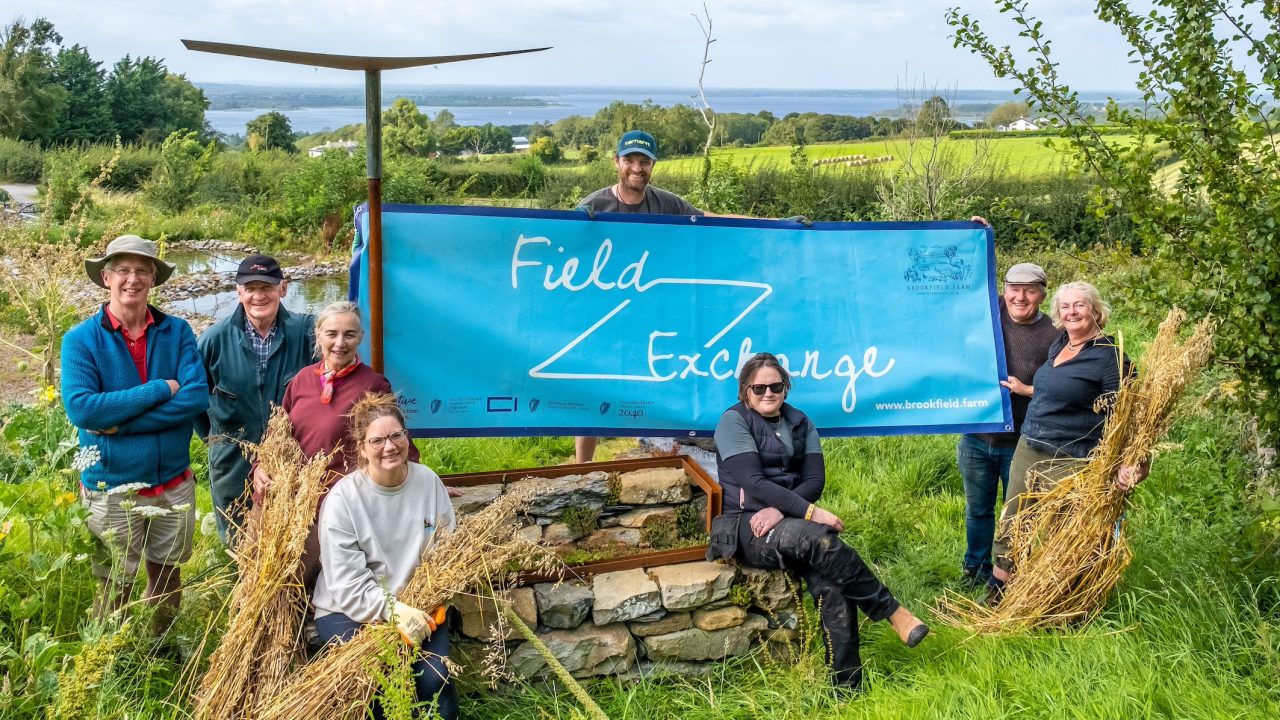 Field Exchange festival returns to Tipperary's Brookfield Farm ...
