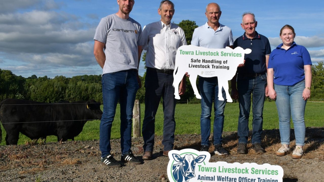 DAFM funds new livestock handling and welfare training courses ...