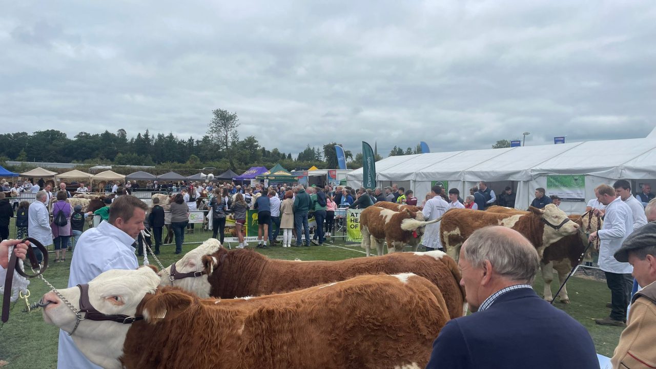 82nd annual Virginia Show kicks off in Cavan - Agriland.ie