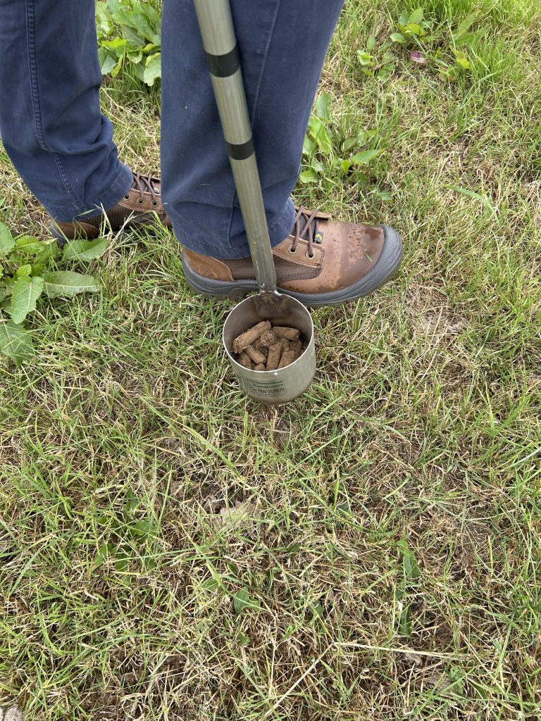Lime: The long-term solution for soil health - Agriland.ie