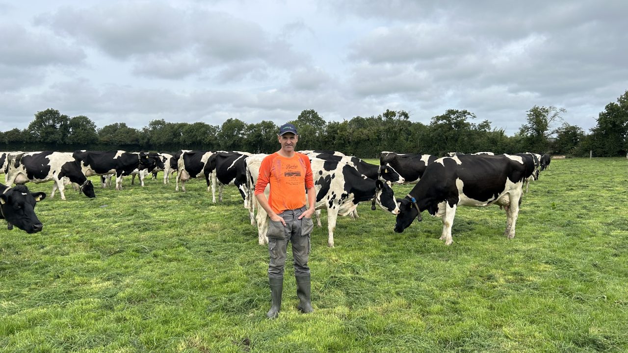 Listen: Meath farmer aims for 700kg solids off American Holstein ...