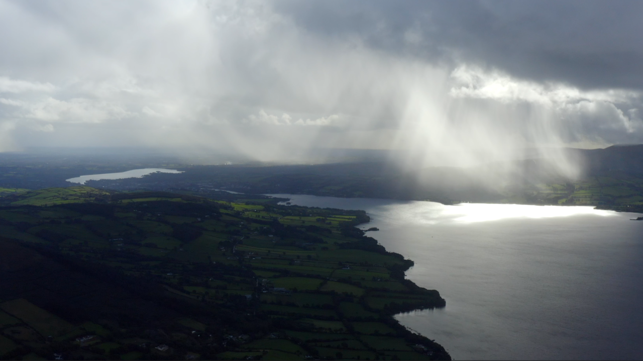 Alternative water source for animals advised amid algal bloom on Lough ...