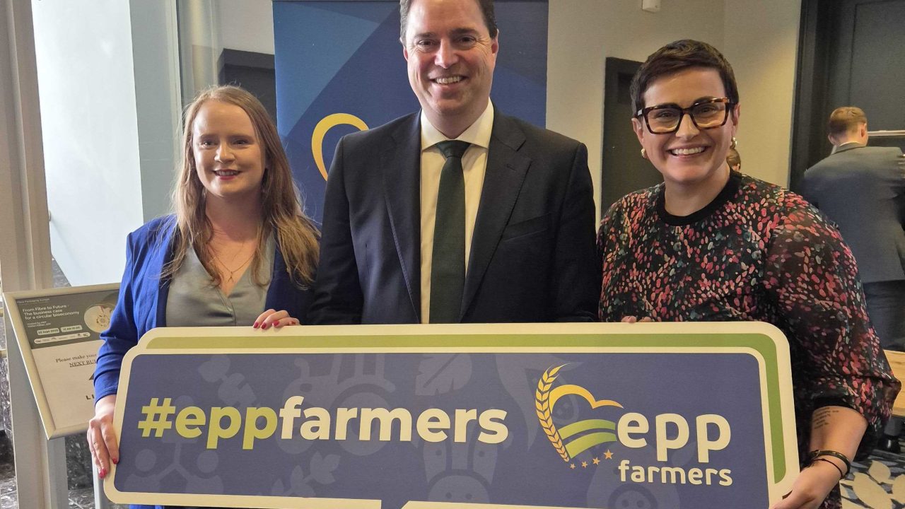Walsh elected VP of new EPP Farmers' Group in Europe - Agriland.ie