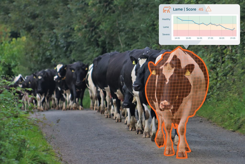 Do you need an extra set of eyes on your cows? Find help at the ...
