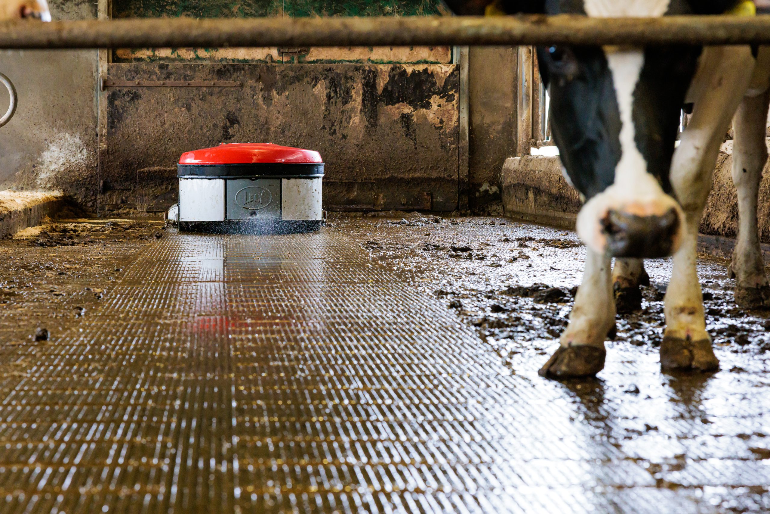 Lely Center Mitchelstown Platinum Sponsors at AXA National Dairy Show 2025 - Agriland.ie