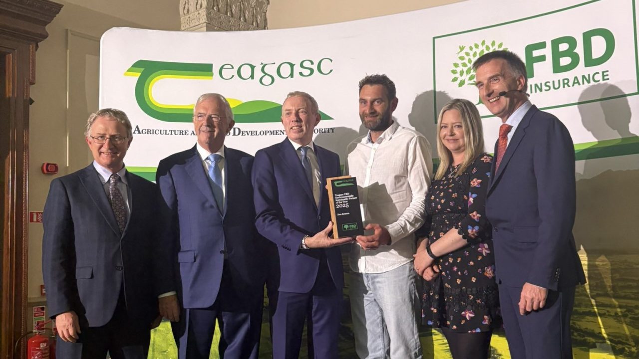 Watch: Wexford farmer named Teagasc FBD Sustainability Award winner ...