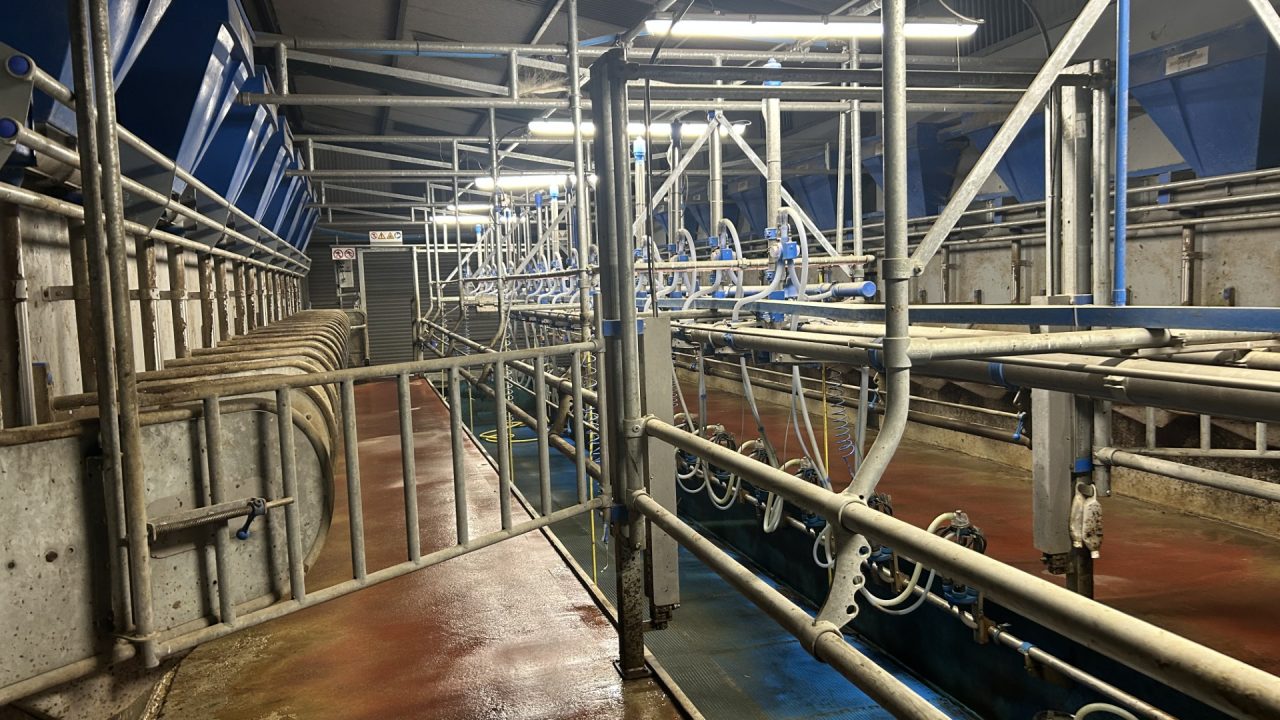 Milk Price Tracker: Huge reduction in milk prices for August supplies ...