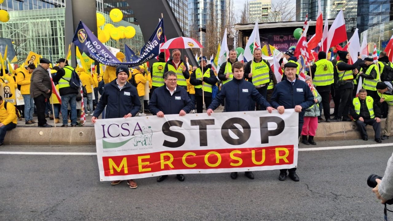 Irish farmers descend on Brussels to join EU peers in major protest ...
