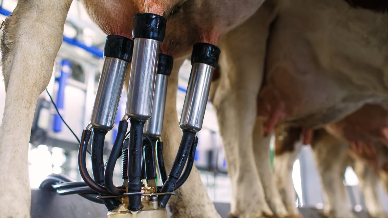 CSO: Milk prices down over 23% in year to April - Agriland.ie