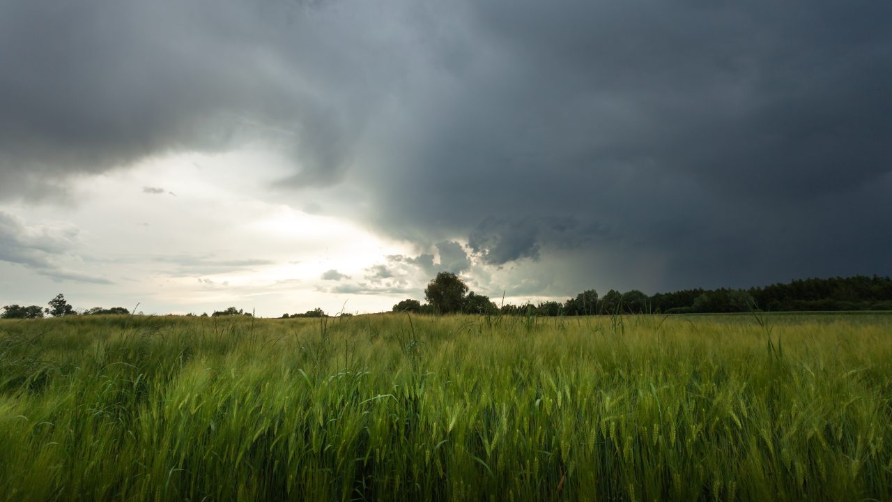 DAFM to use AMS for monitoring 7 ACRES actions in 2026 - Agriland.ie