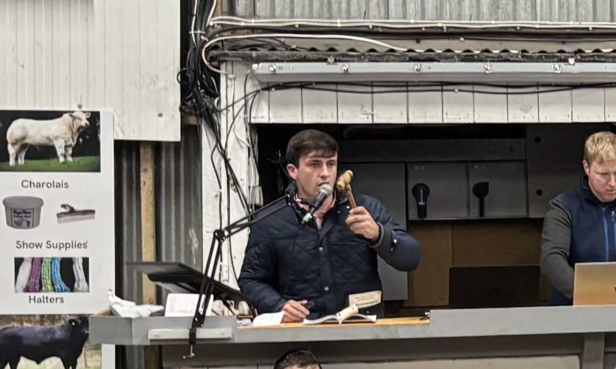 Young Leitrim auctioneer wins Macra Aurivo Northwest King title ...