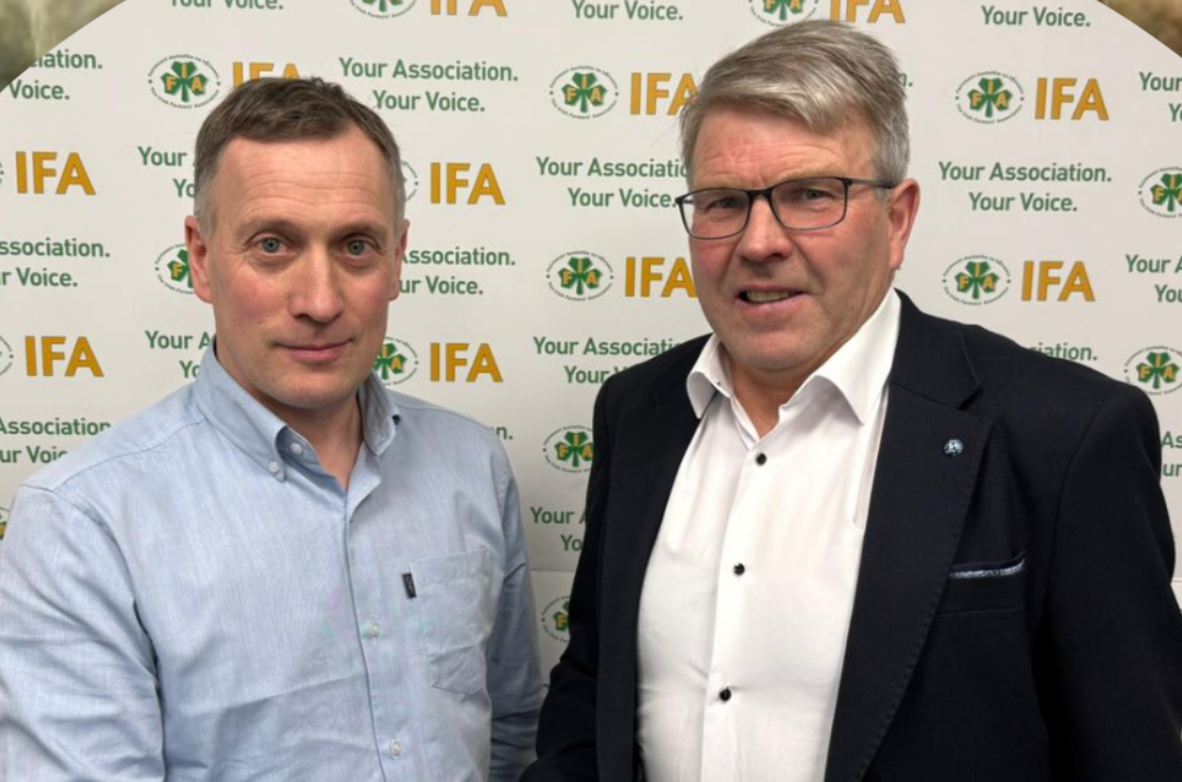 Monaghan farmer elected chair of IFA Animal Health Committee - Agriland.ie