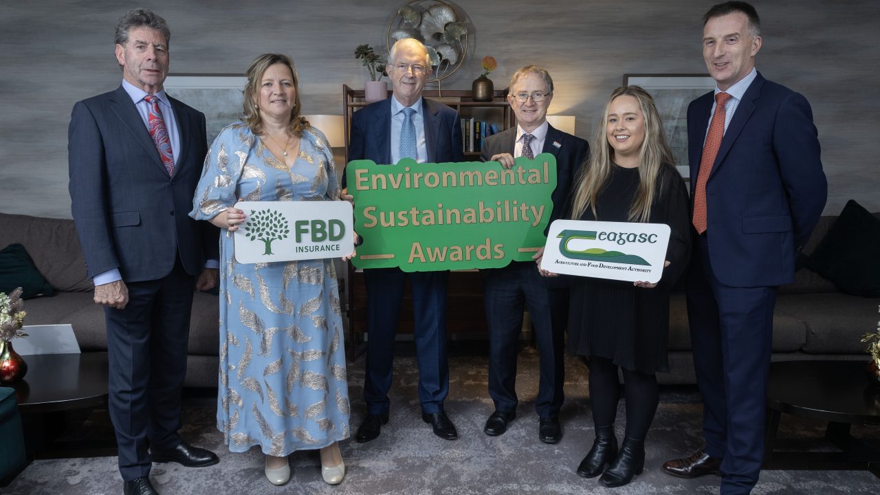 Environmental sustainability awards return with €30k prize fund ...
