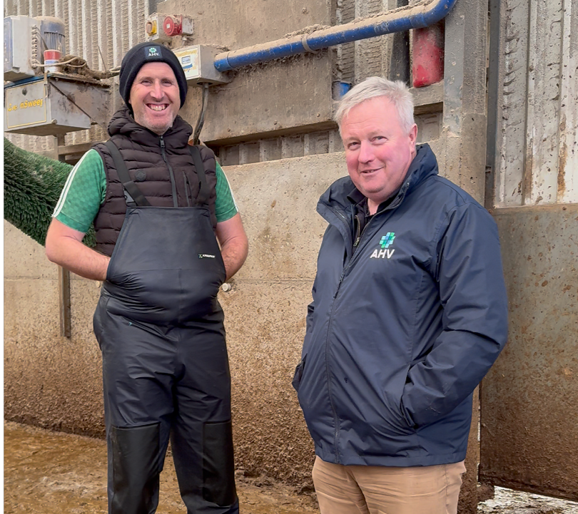 Getting cows through calving with fewer setbacks on a 650-cow herd ...