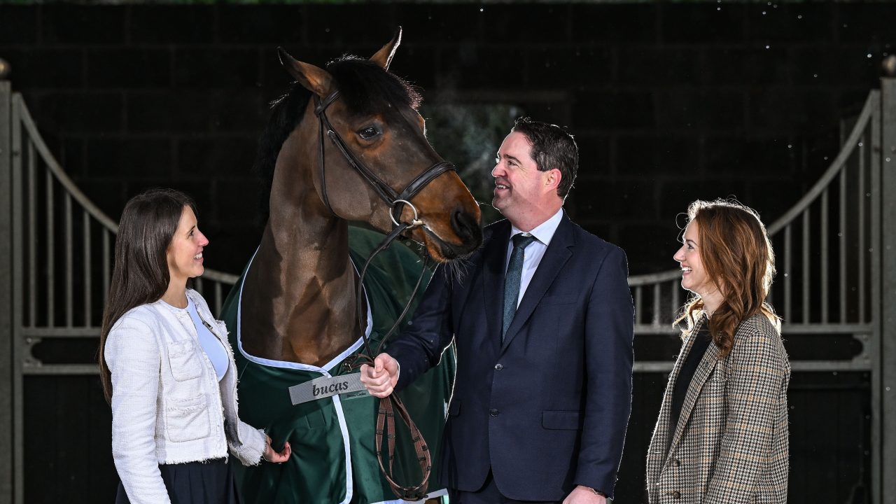 €600,000 allocated to 71 equestrian bodies in national breeding scheme ...