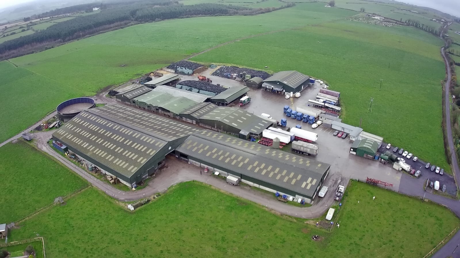 Getting cows through calving with fewer setbacks on a 650-cow herd ...