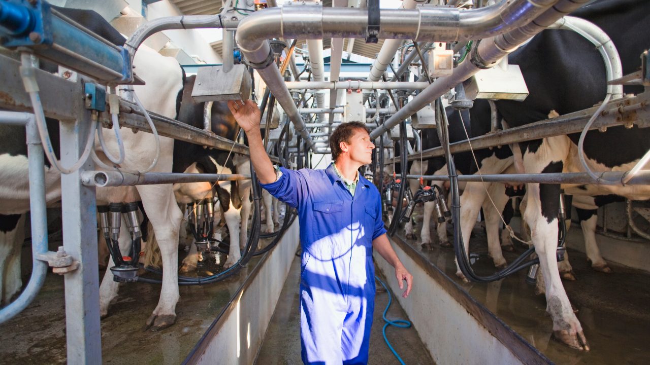 Why Dale Farm and Aurivo pulled the plug on merger talks - Agriland.ie