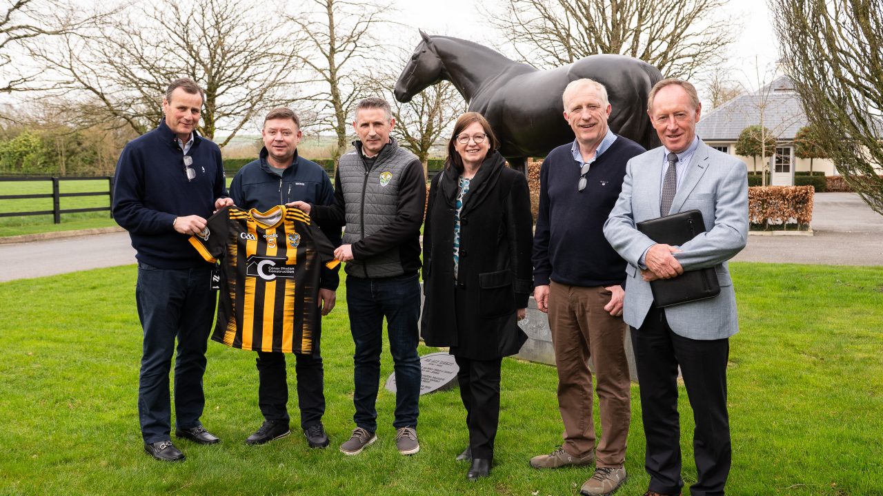 Coolmore Stud donates 4.7ac to local GAA club - Agriland.ie