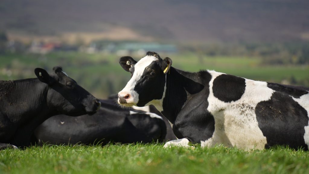 Revolutionising fertility in livestock - Agriland.ie