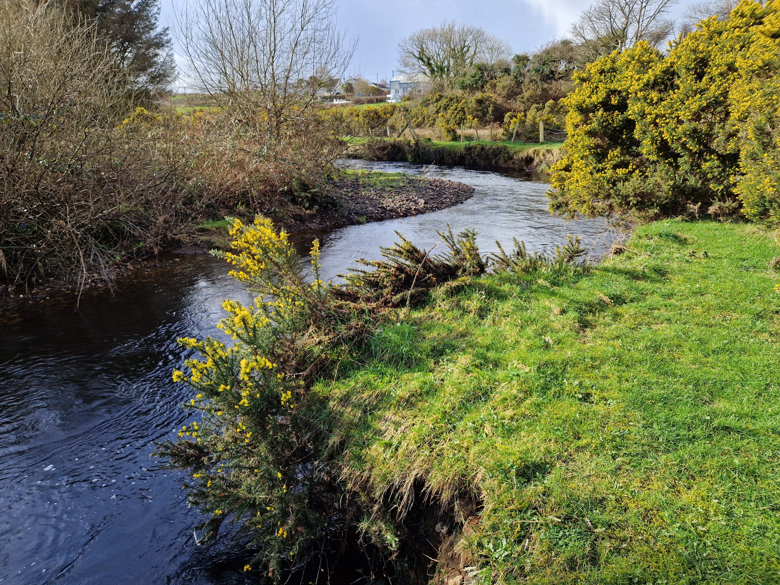 Water quality meetings set for Cavan, Donegal and Longford - Agriland.ie
