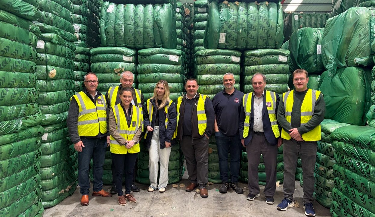 UFU urges farmers to maximise strong wool market - Agriland.ie